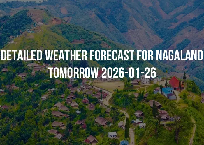 Detailed weather forecast for Nagaland tomorrow 2026-01-26